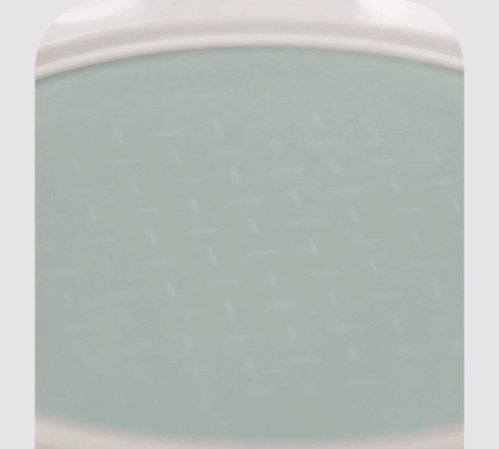 Laneige Neo Essential Blurring Finish Powder 7g